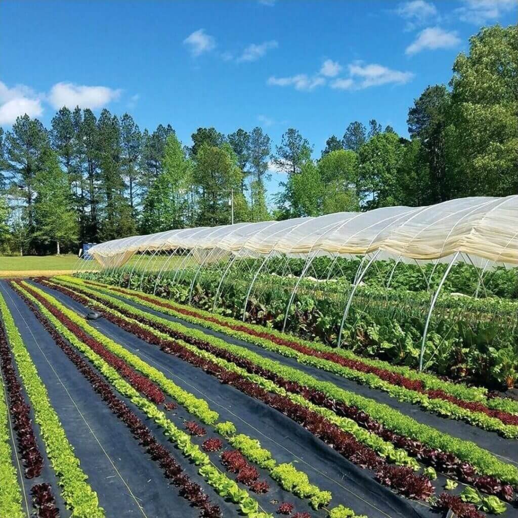 agrotekstil-135-g-kv-m-1-6-m-x-50-metr-garden24